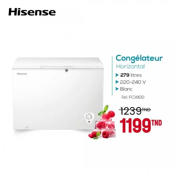 CONGELATUER HORIZONTAL HISENSE 297L BLANC (FC39DD) pour CONGÉLATEURS